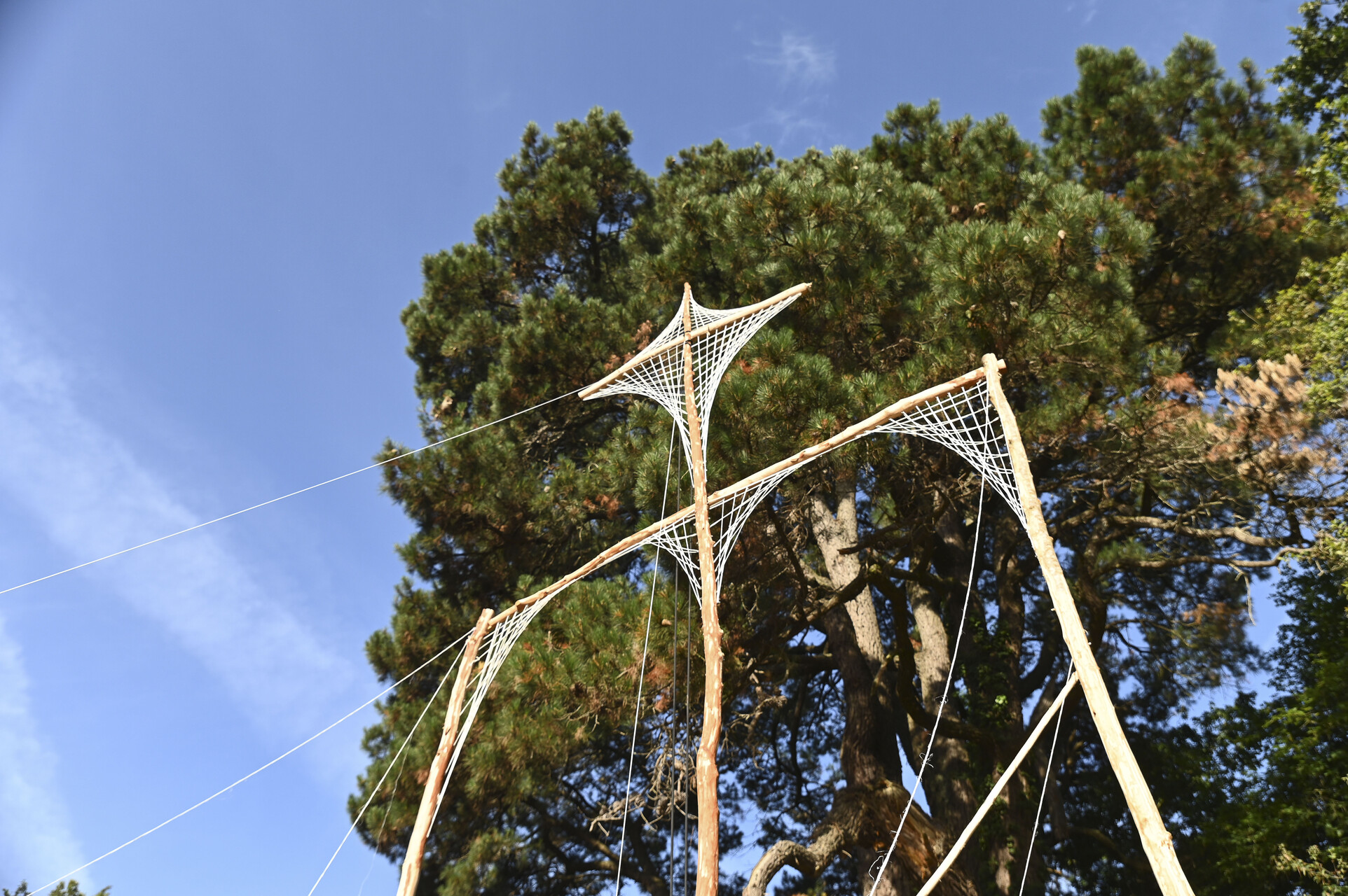 Réseaux de patrouilles libres des Guides et Scouts d'Europe