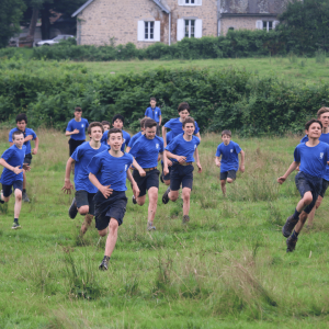 Association des Guides et Scouts d'Europe